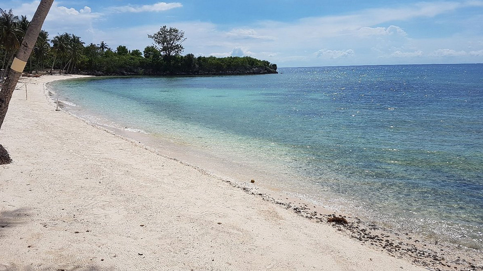10 Beautiful Beaches in Cebu to Help You Unwind - Go for Lokal [g4l ...
