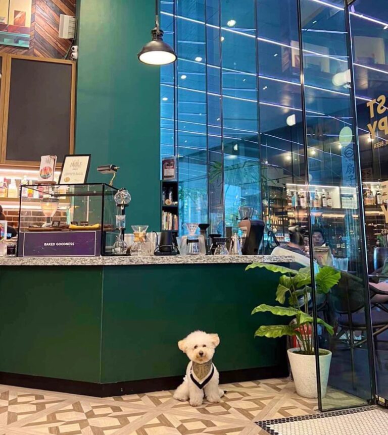 11 Must-Visit Dog-Friendly Restaurants and Cafes in Metro Manila - Go ...