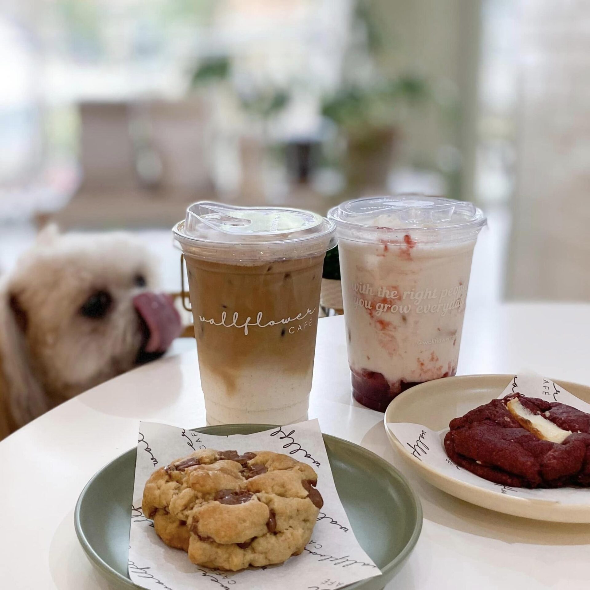 11 Must-Visit Dog-Friendly Restaurants and Cafes in Metro Manila - Go ...