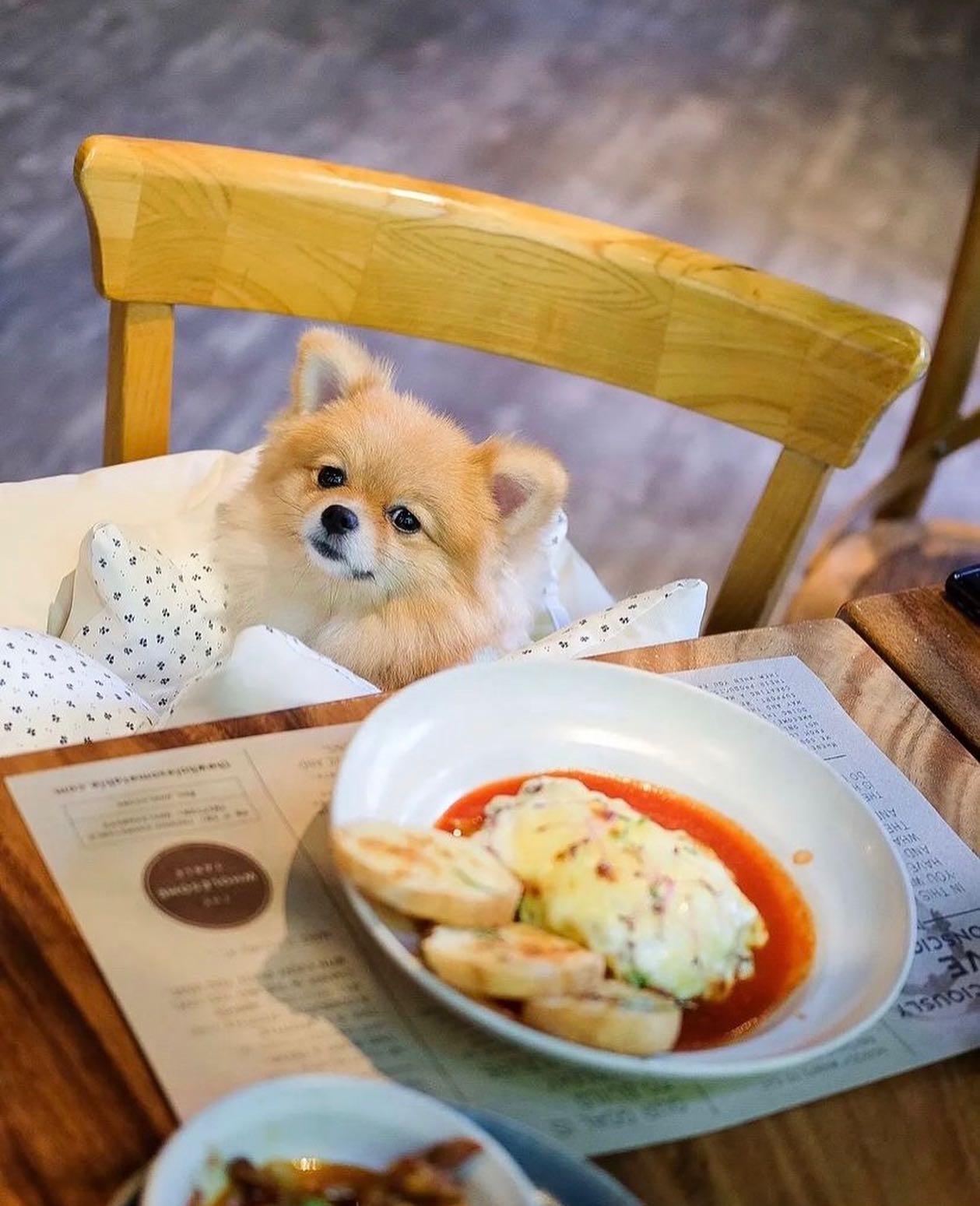 11 Must-Visit Dog-Friendly Restaurants and Cafes in Metro Manila - Go ...