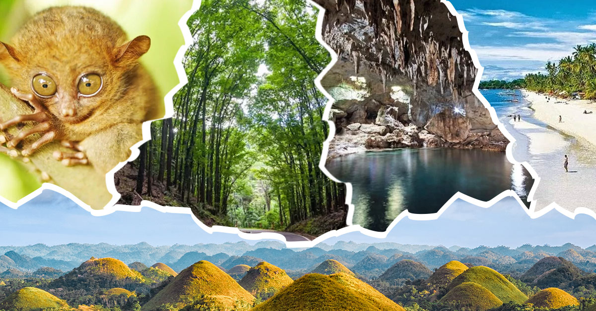 Top Places to Visit and Things to Do in Bohol - Go for Lokal [g4l ...