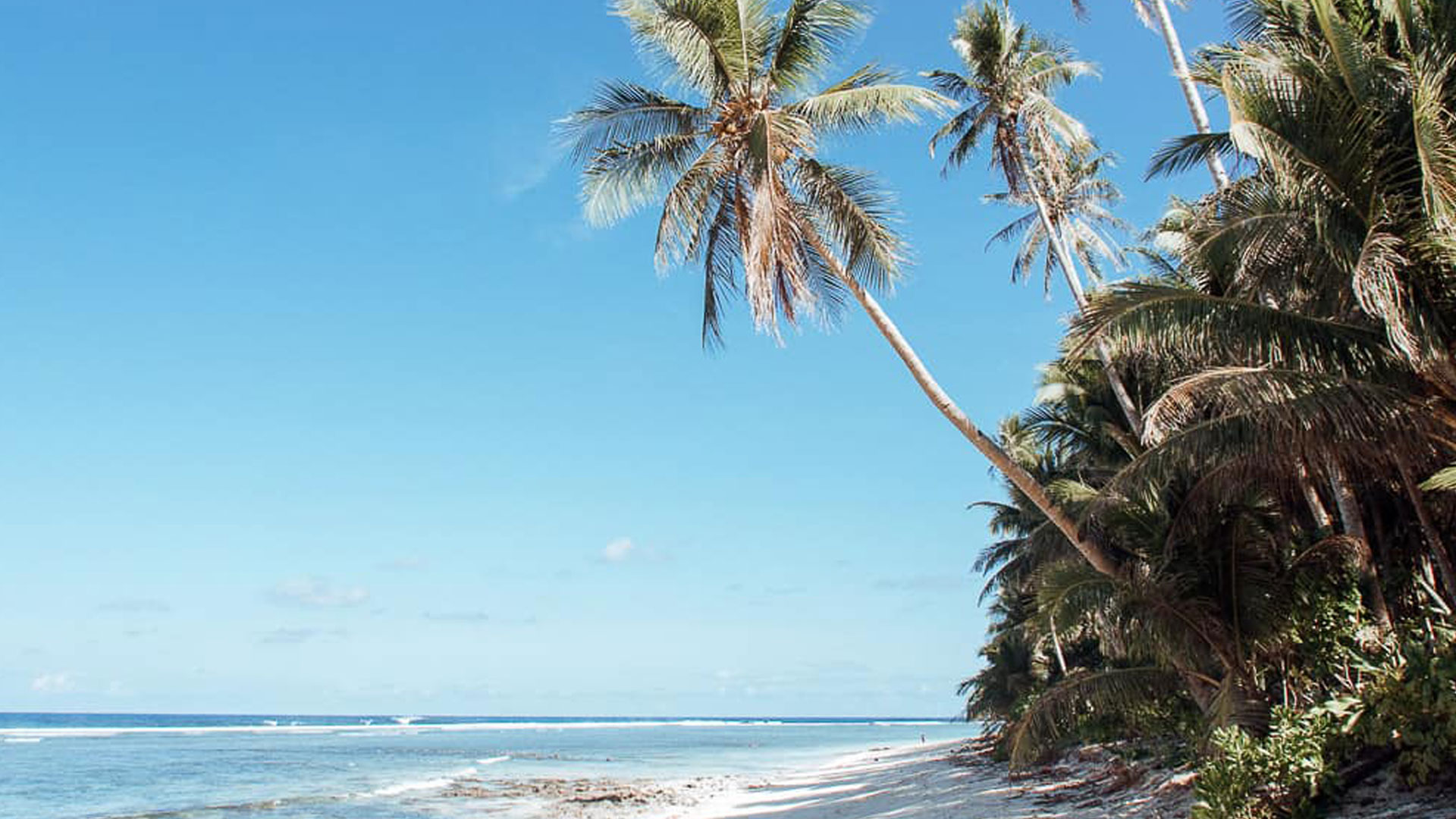 19 Must-Visit Beaches in the Philippines for the Best Summer Vacation ...