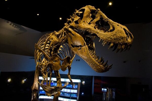 11 Best Museums to Visit in the Philippines - Go for Lokal [g4l ...