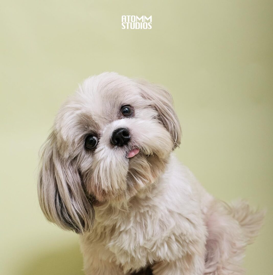 7 Self-Shoot Photo Studios in Manila That You Can Visit For a Fun ...