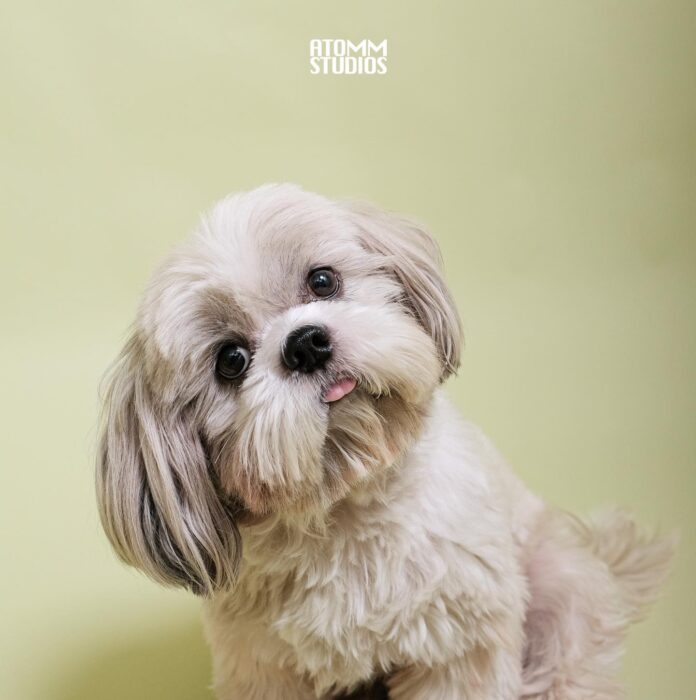 7 Self-Shoot Photo Studios in Manila That You Can Visit For a Fun ...