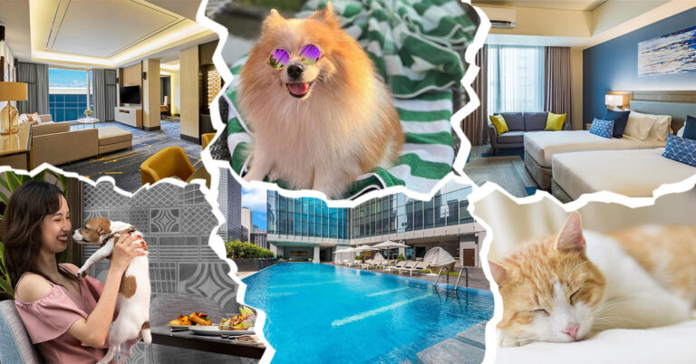 12 Pet-Friendly Hotels in Metro Manila for Your City Staycation - Go for Lokal [g4l] Philippines