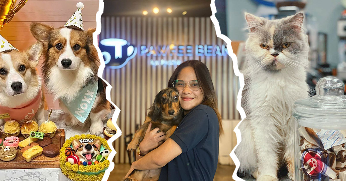 5 Pet Cafes in Metro Manila That You Should Visit With Your Fur Baby ...