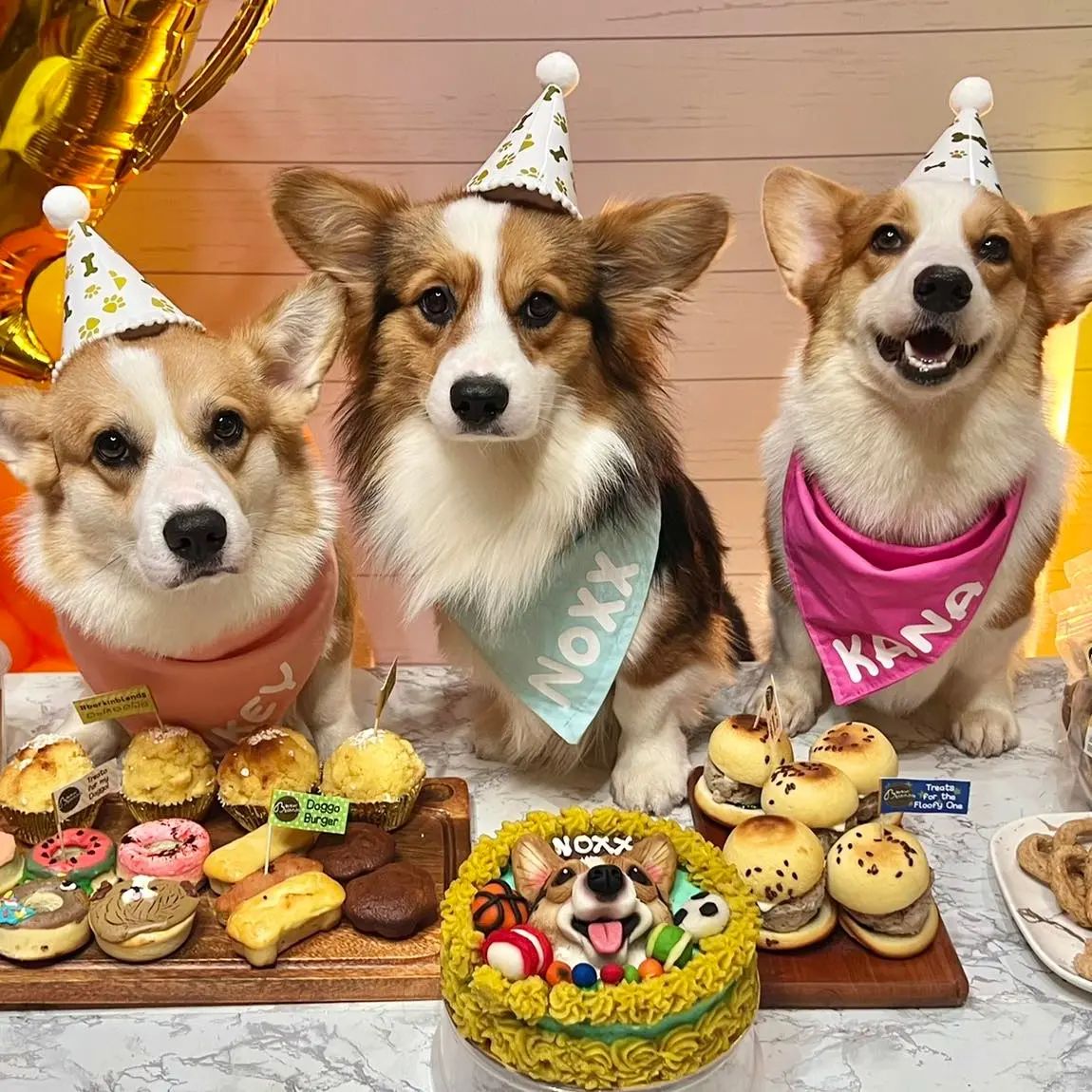 5 Pet Cafes in Metro Manila That You Should Visit With Your Fur Baby ...