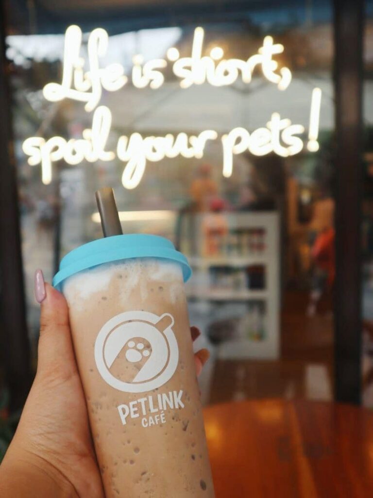 5 Pet Cafes in Metro Manila That You Should Visit With Your Fur Baby - Go for Lokal [g4l ...