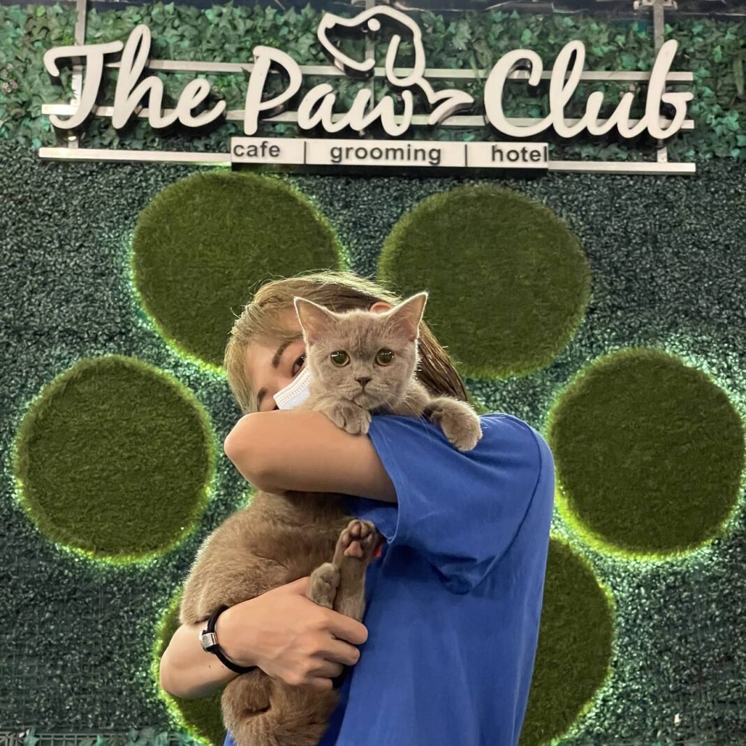 5 Pet Cafes in Metro Manila That You Should Visit With Your Fur Baby - Go for Lokal [g4l ...