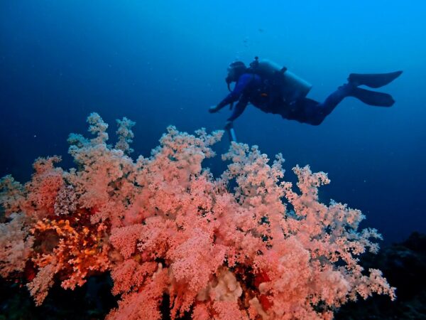 17 Must-Visit Underrated Destinations in the Philippines - Go for Lokal ...