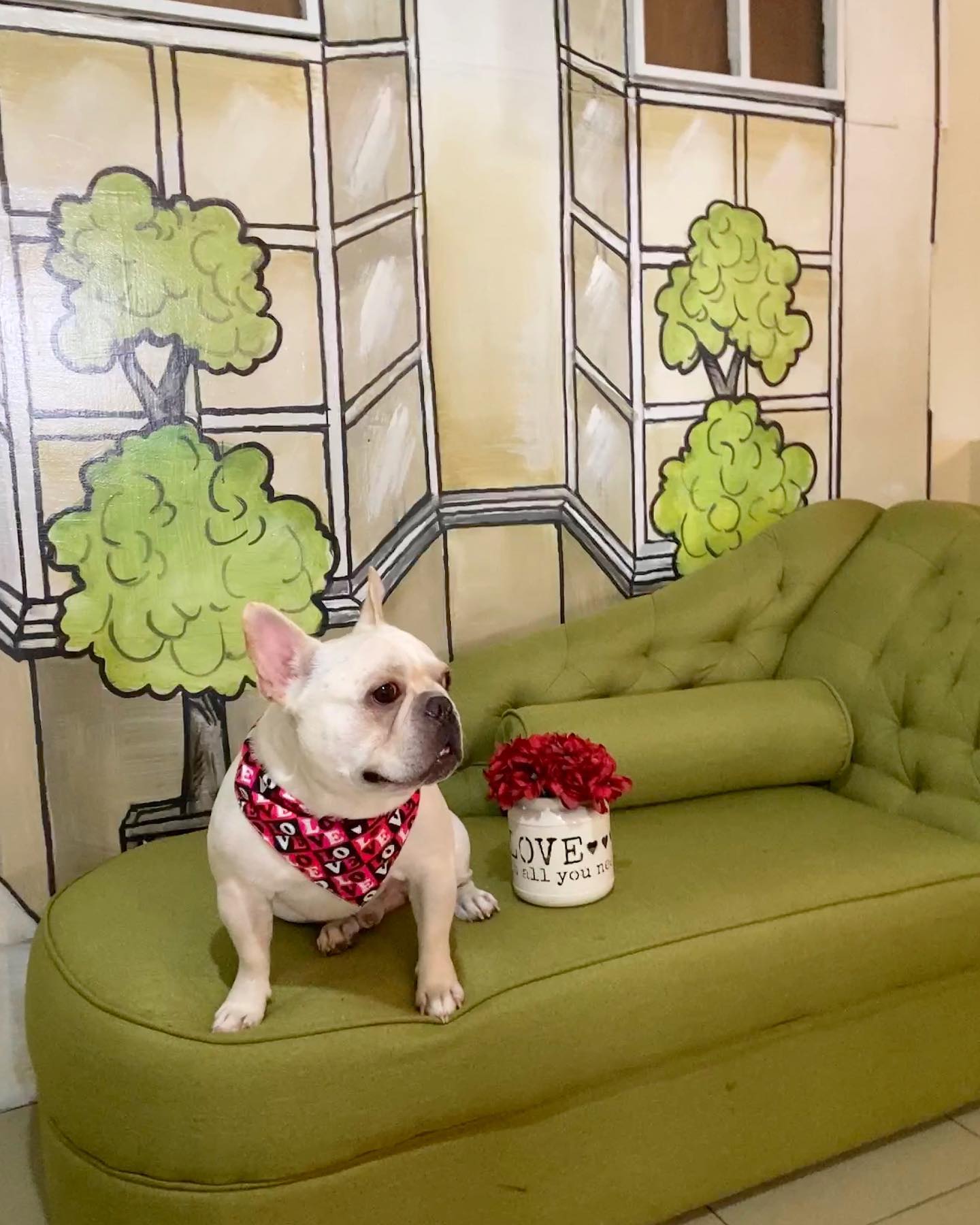 7 Pet Hotels in Metro Manila for a Safe Pet Boarding While You’re Away - Go for Lokal [g4l ...