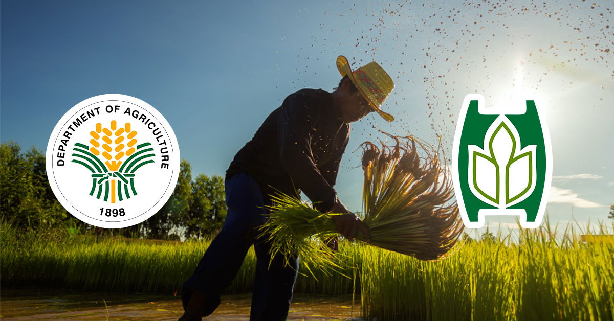 Philippine Farmers Encouraged to Secure Their Livelihood with Crop ...